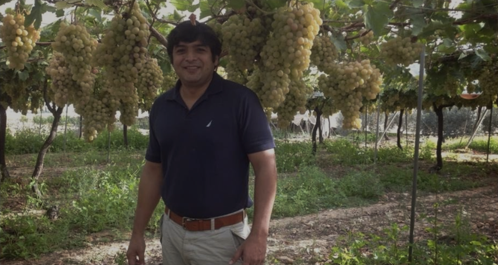 Remineralize the Earth